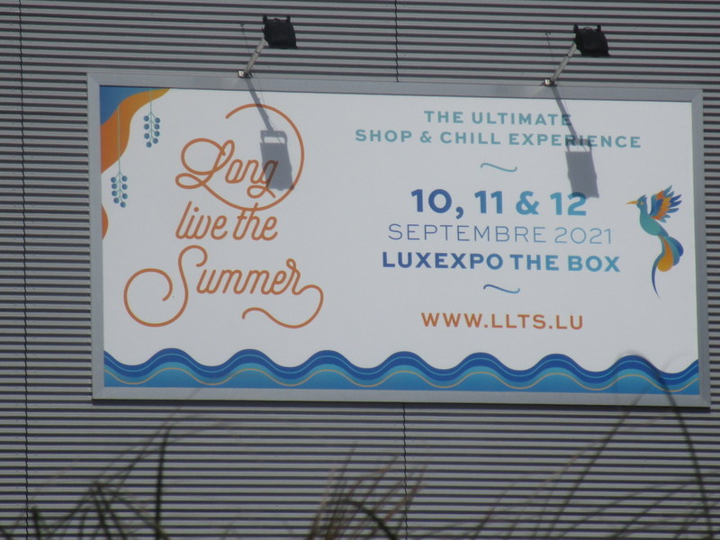 Long Live the Summer | LIEF