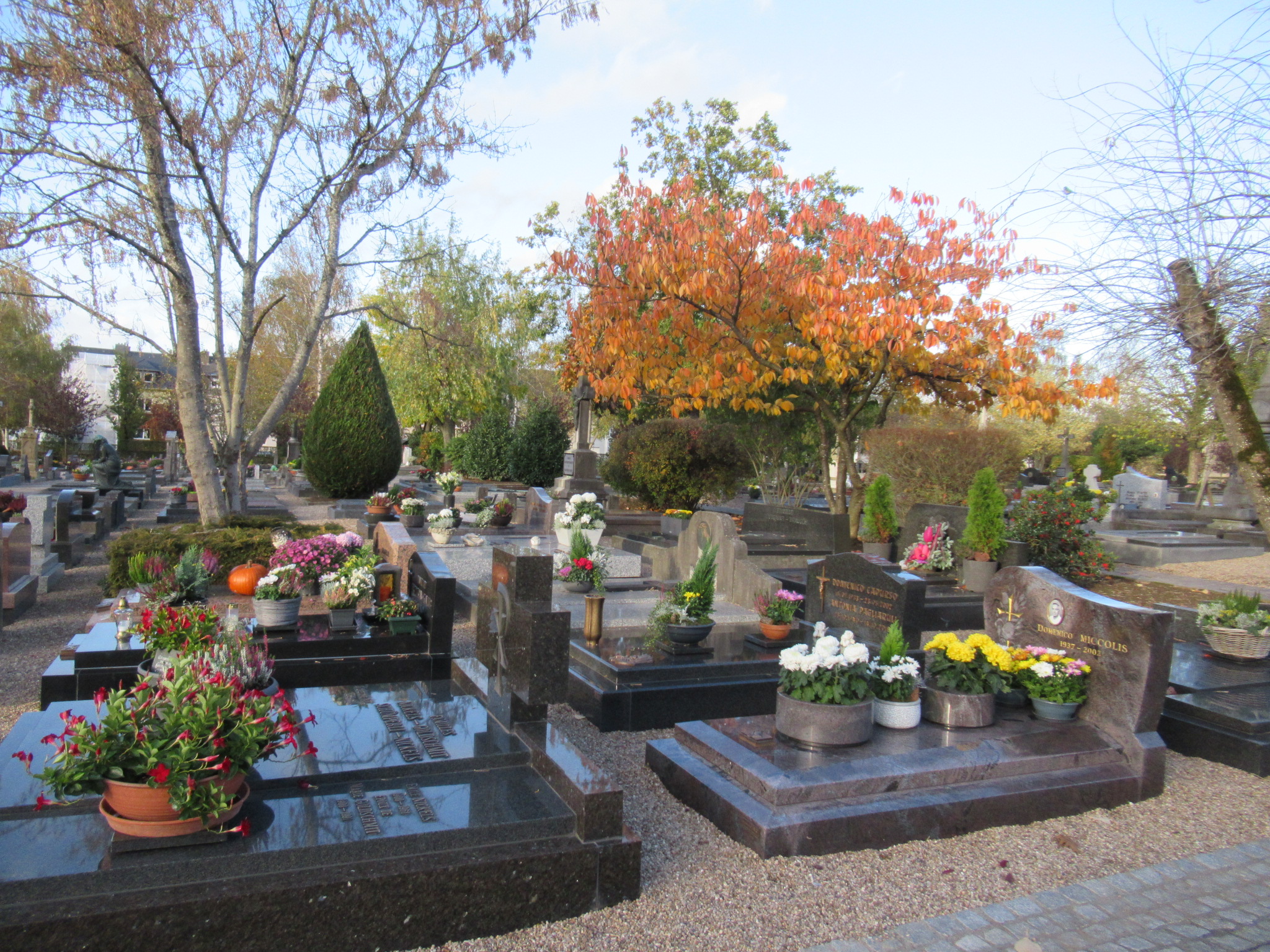 Events in November 2023 | LIEF